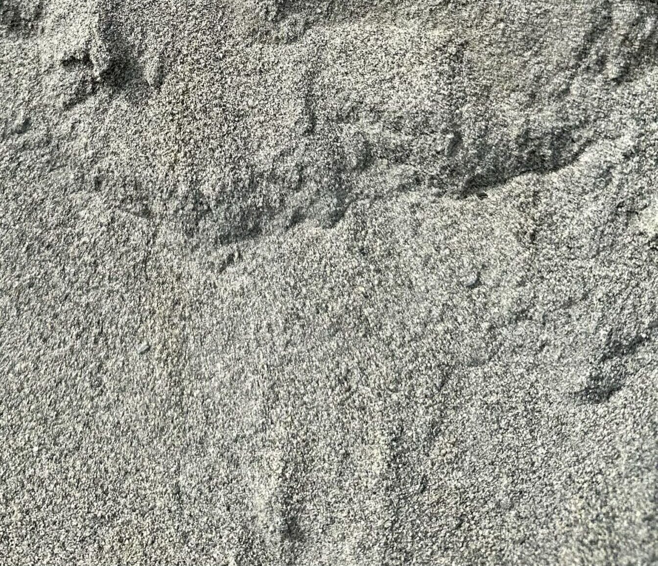 VIE Landscaping Supplies | Bulk Landscaping Sand | Comox Valley